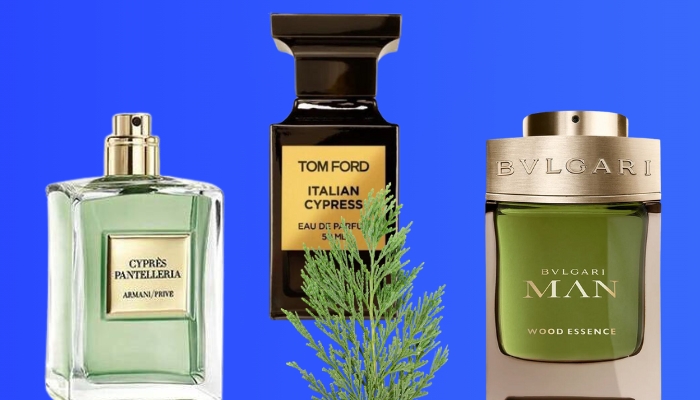 What Does Cypress Smell Like? [Find Out With 3 Fragrances]