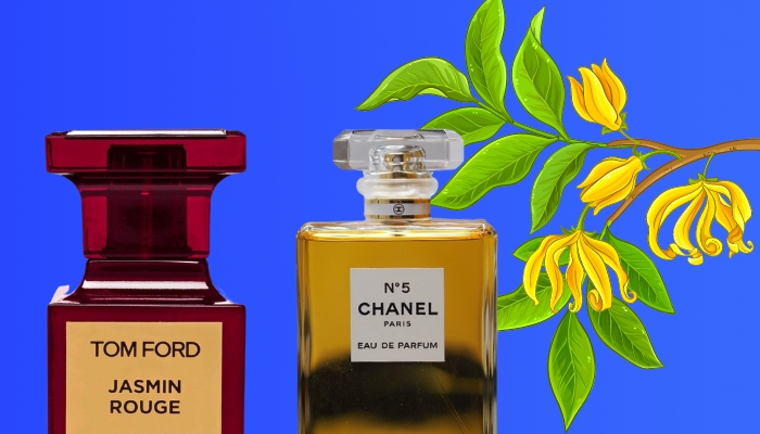 What Does Ylang-Ylang Smell Like? [+3 Sensual Perfumes]