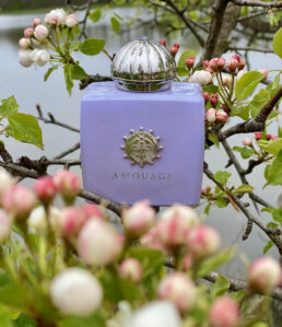 7 Best Smelling Lilac Perfumes For Her [Tested in 2024]