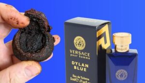 What Does Musk Smell Like? [With 3 Amazing Musky Colognes]