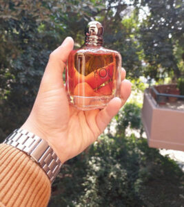 7 Colognes Similar To 1 Million Elixir Paco Rabanne [2024]