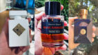 What Does Musk Smell Like? [Detailed Scent Guide 2024]