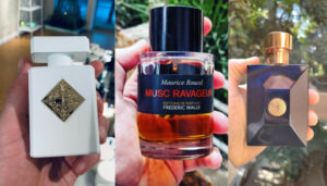 What Does Musk Smell Like? [Detailed Scent Guide 2024]