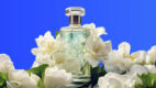 What Does Jasmine Smell Like? [Breaking Down The Scent]