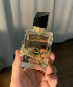 YSL Libre Vs Libre Intense [Complete Comparison In 2024]